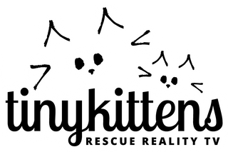 The Official TinyKittens Store