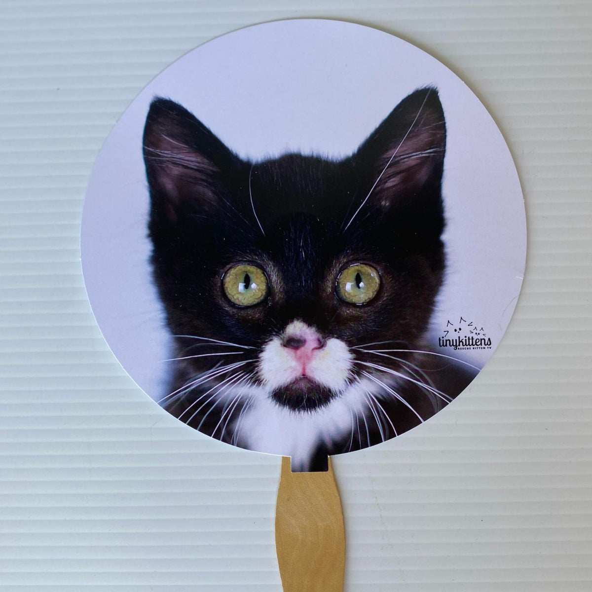 Fan - stay cool like Puff Puff (aka Cassidy) – TinyKittens